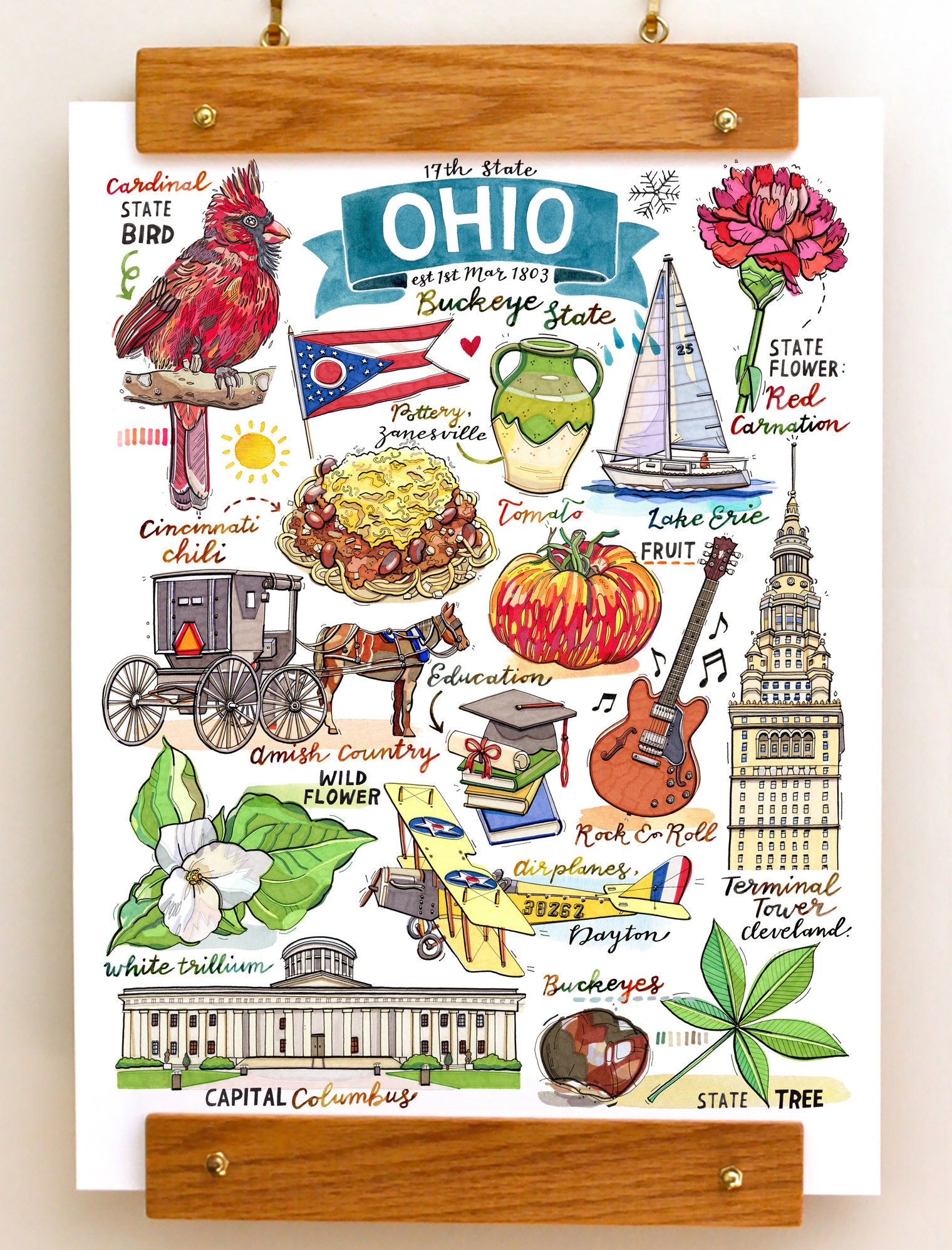 Ohio Print the Buckeye State. Illustration. - Etsy