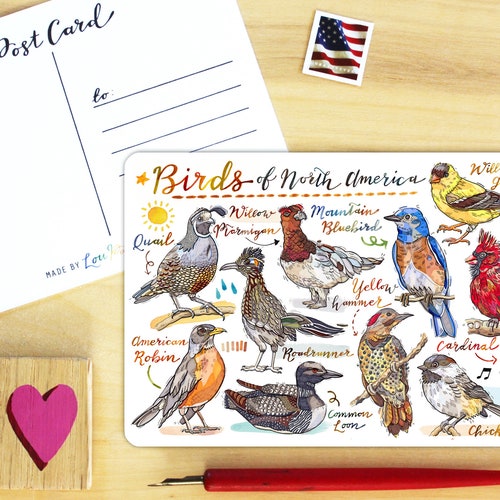 Birds Postcard. | Etsy