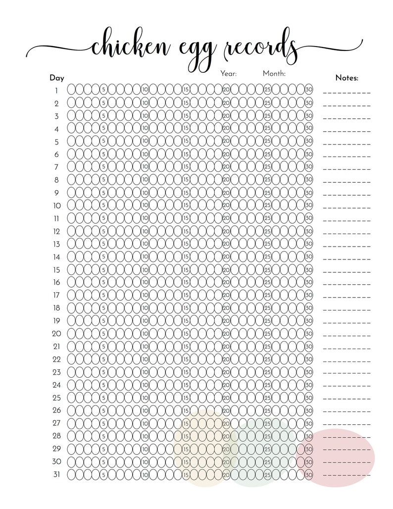 Egg Records | Chicken Egg Count Record Keeper | Chicken Egg Production ...