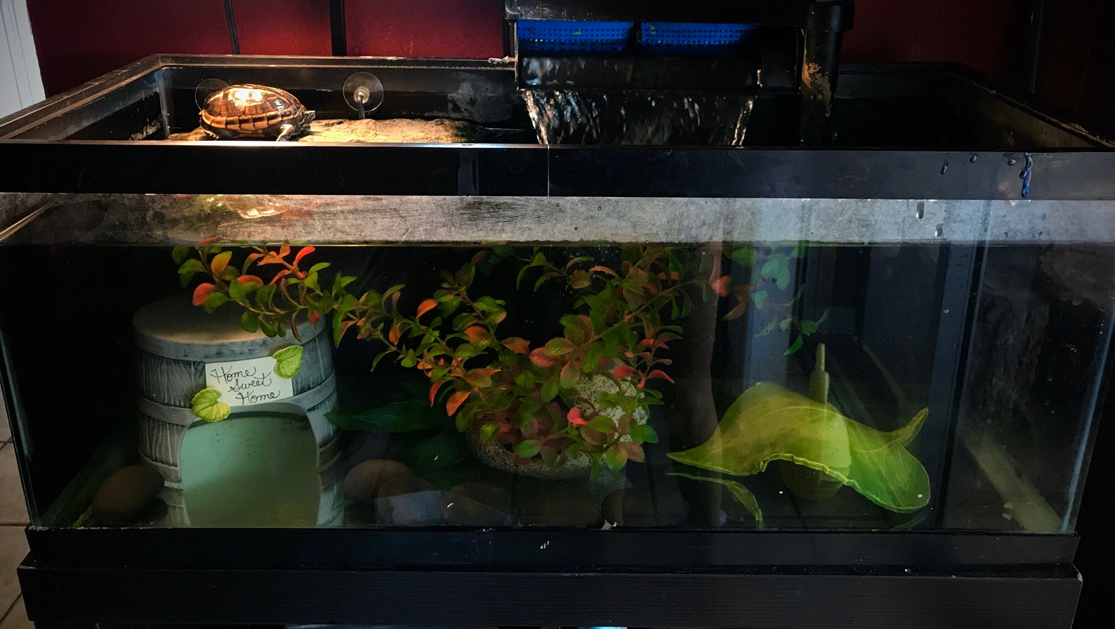 Home Sweet Home Bucket Hide for Axolotls Hamsters Reptiles - Etsy