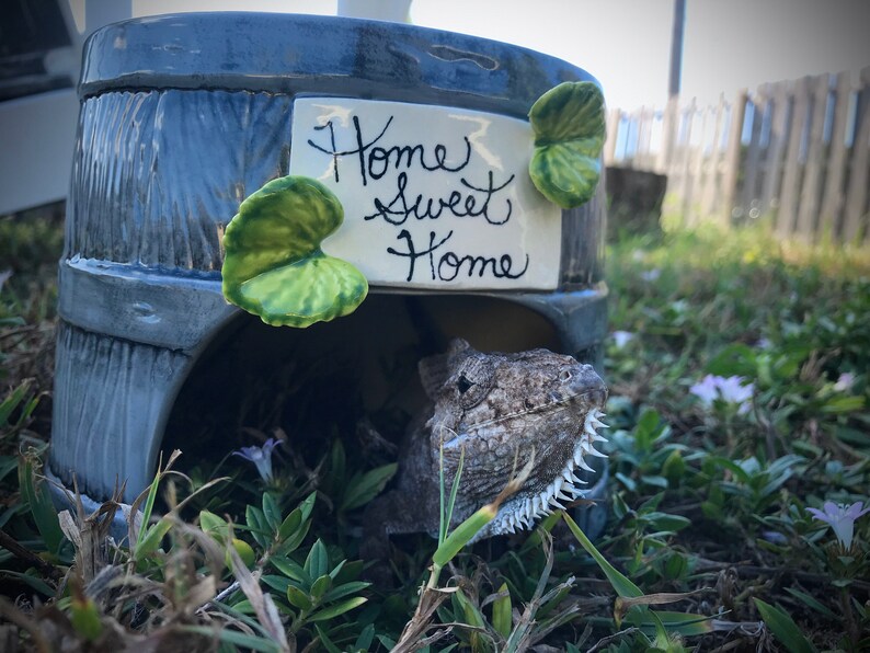 Home Sweet Home Bucket Hide for Axolotls Hamsters Reptiles - Etsy
