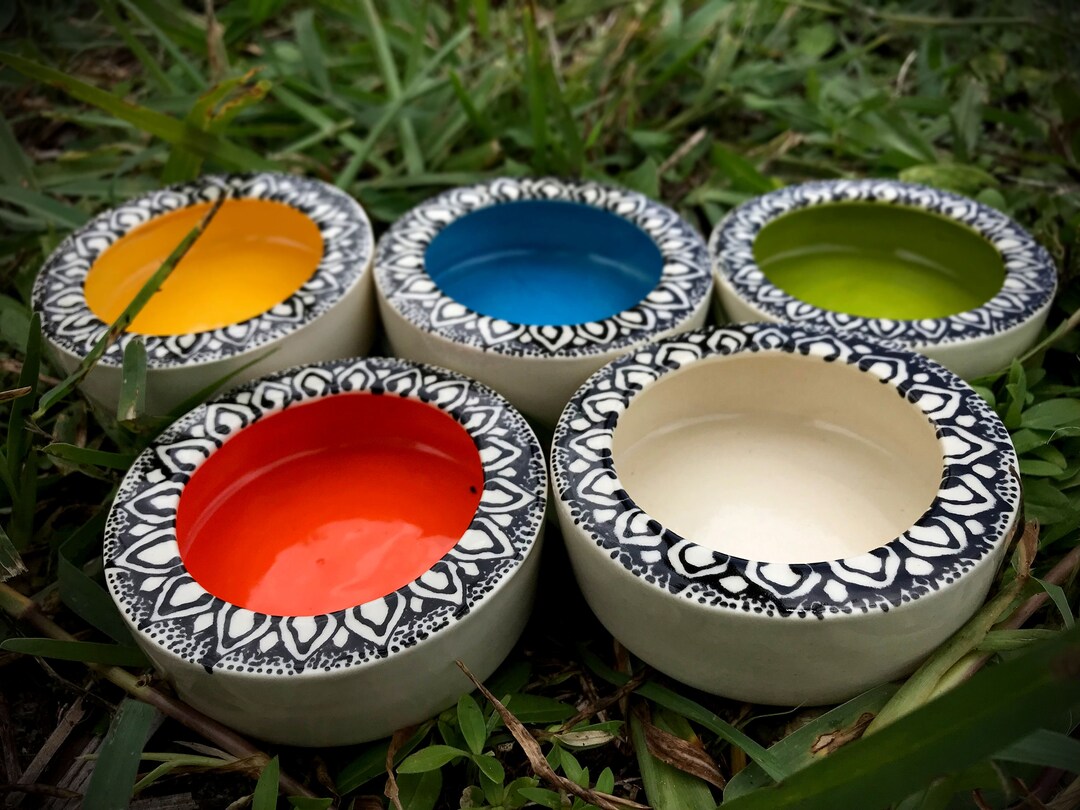 Hedgehog/reptile Worm Dish - Etsy