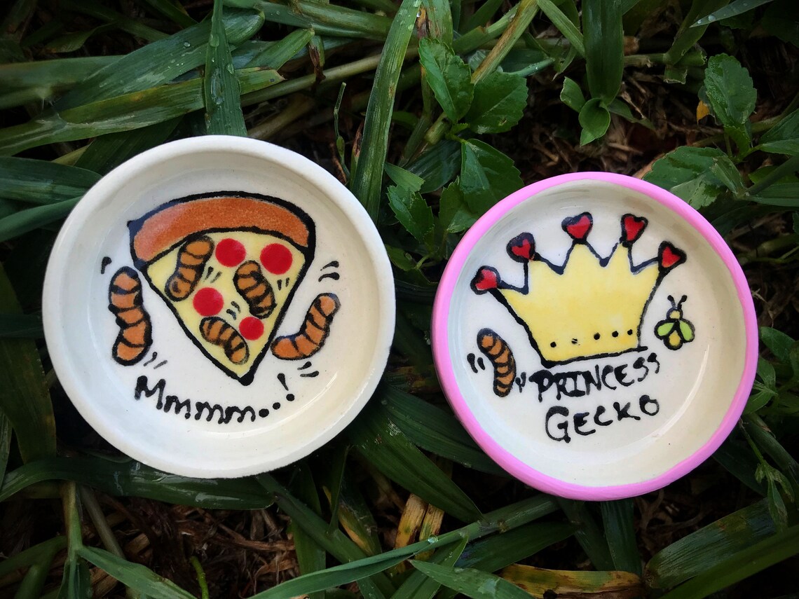 Small Quirky Gecko Dishes - Etsy