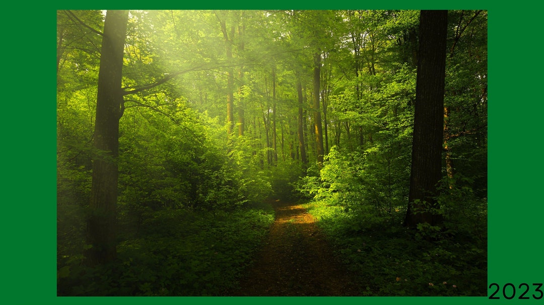 Nature Calendar 2023 - Etsy