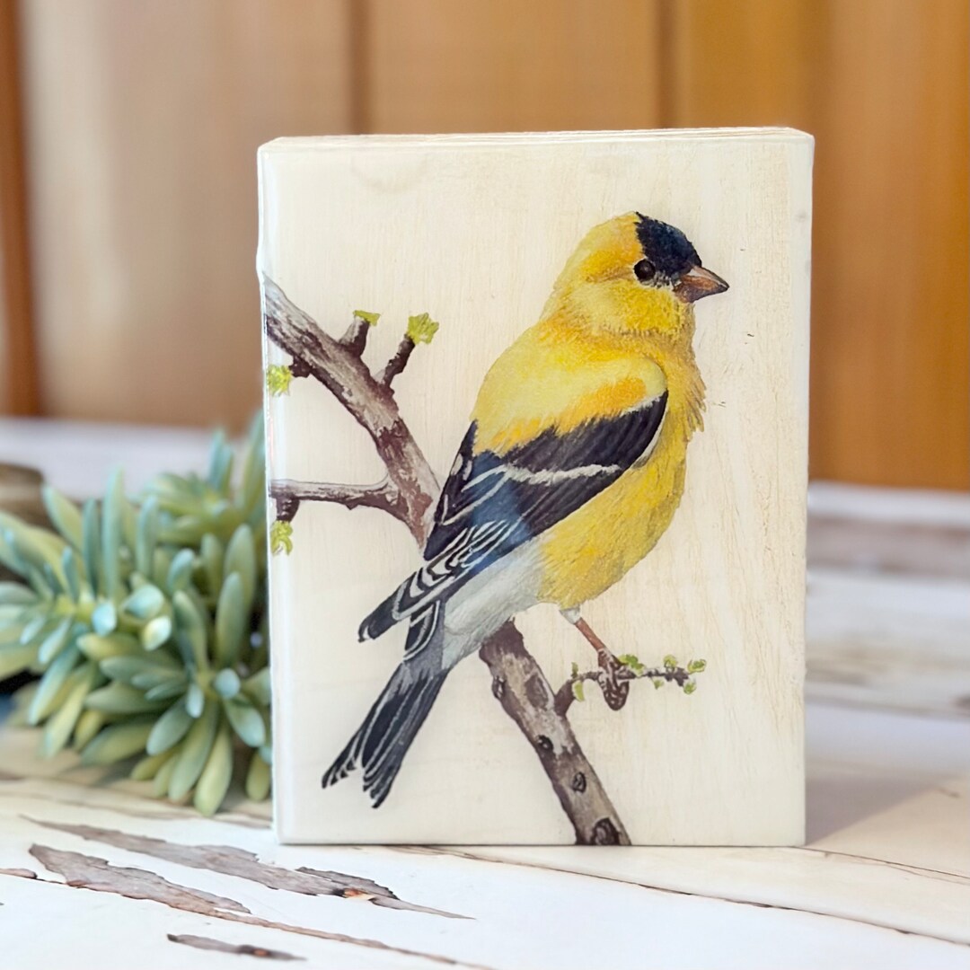 Goldfinch Wood Art Farmhouse Bird Decor Wildlife Bird Painting - Etsy