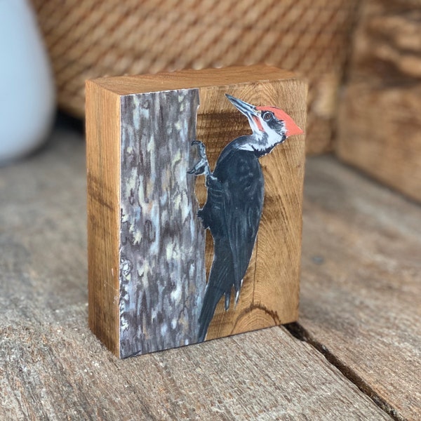Woodpecker Art - Etsy