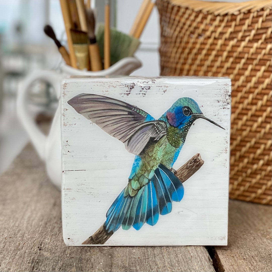 Arte del colibrí en madera estante moderno decoración colibrí amante ...