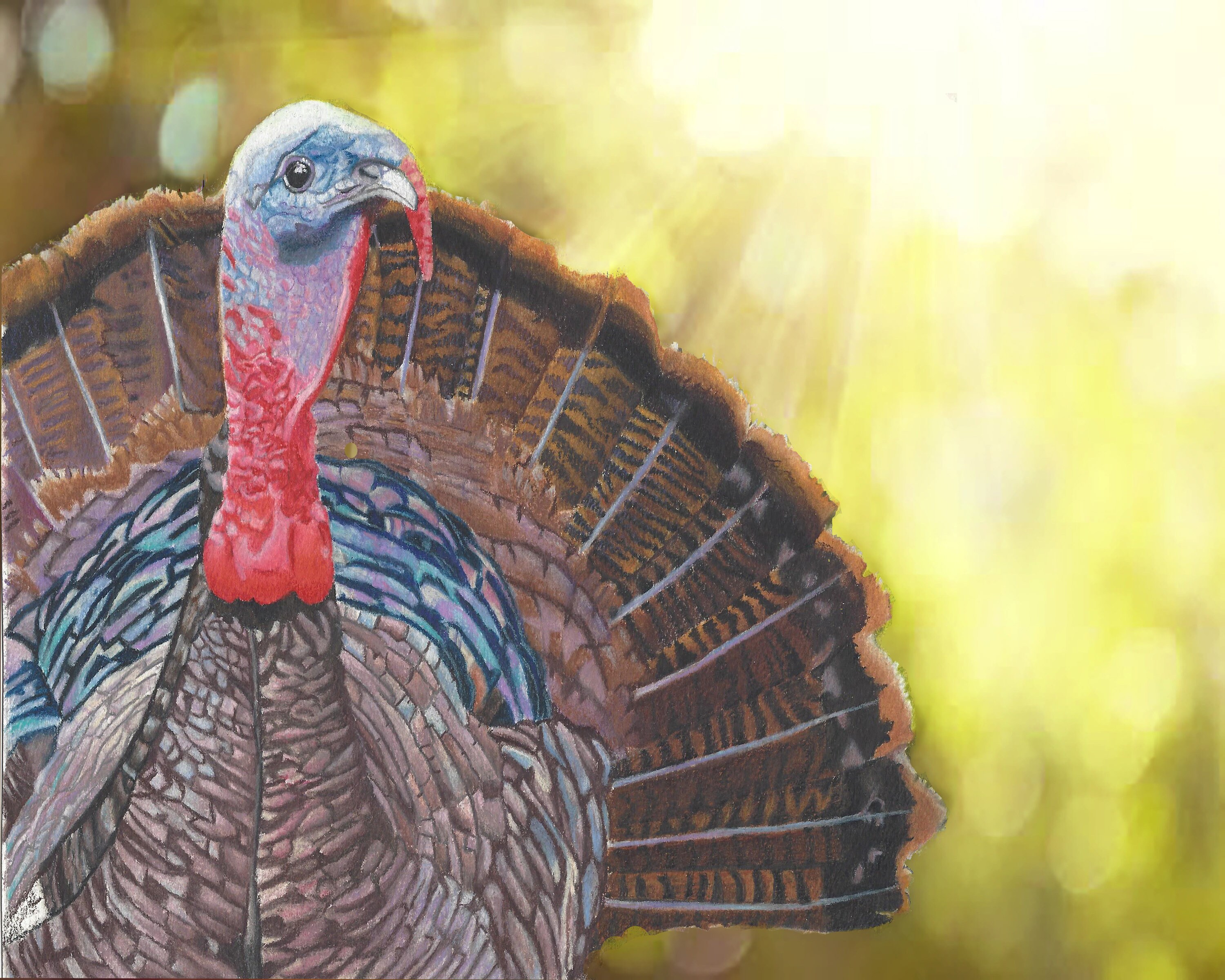 Turkey Art print Realistic Turkey watercolor print Rustic | Etsy