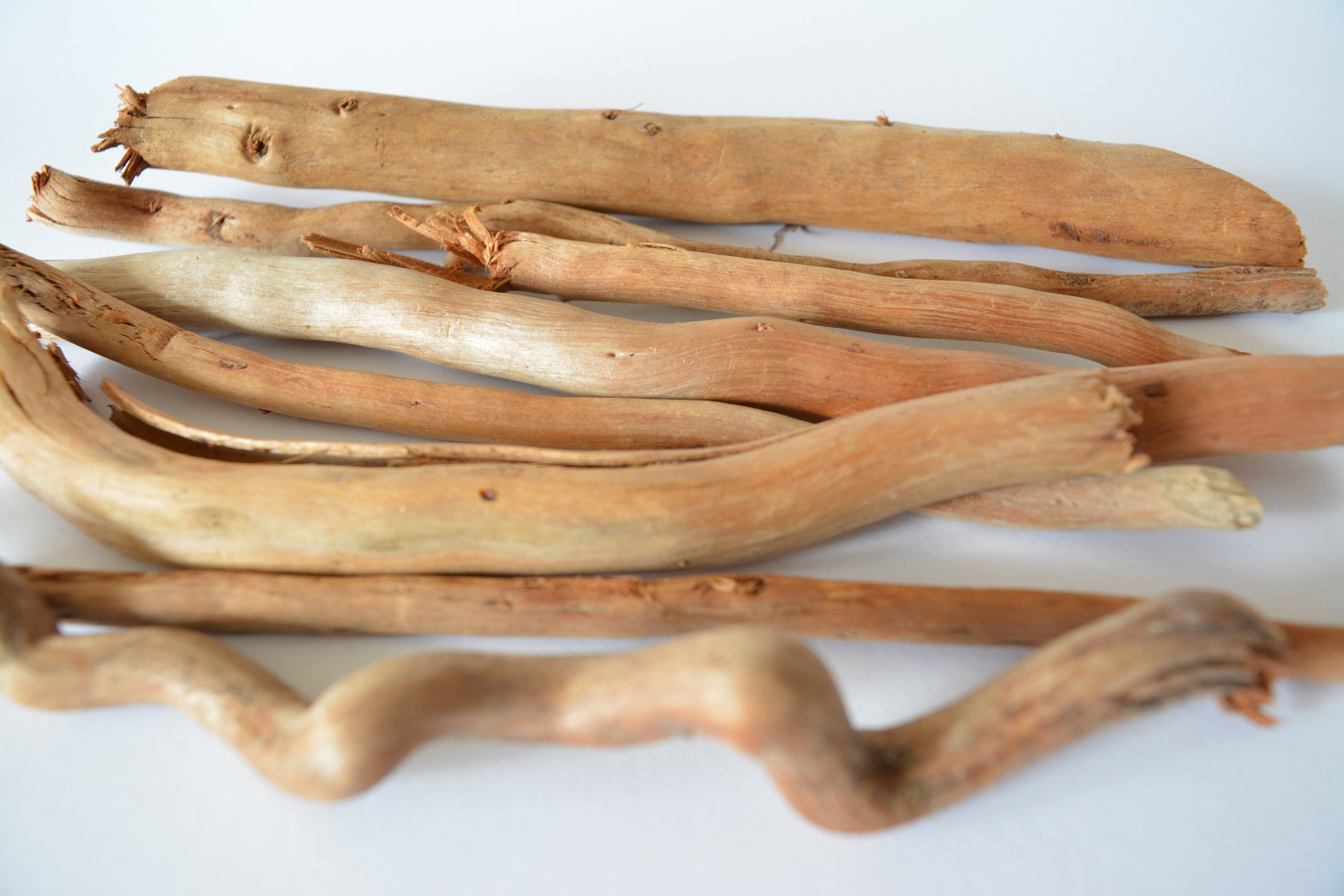 8 unique hooked pieces of Natural Dried Roots Eco forest material Old ...