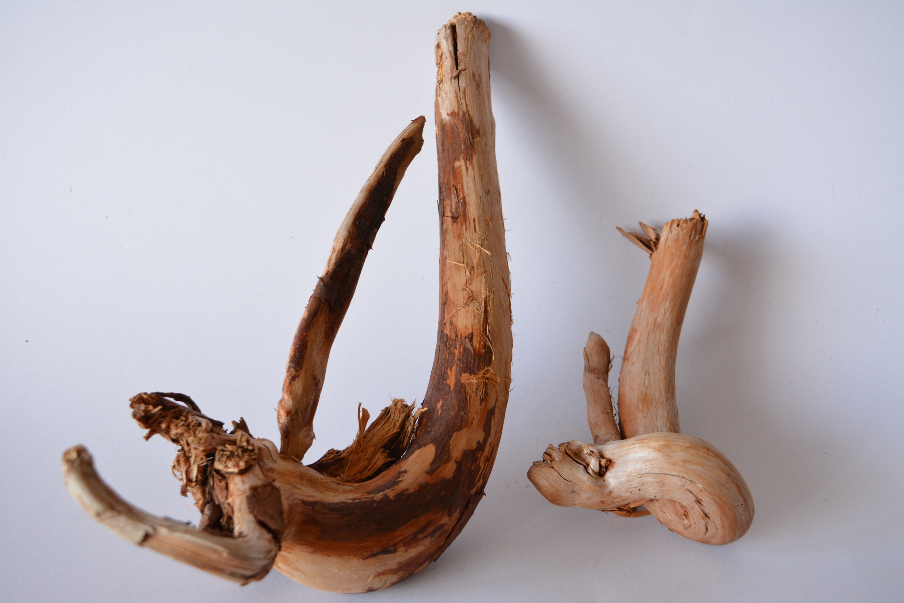 8 unique hooked pieces of Natural Dried Roots Eco forest material Old ...