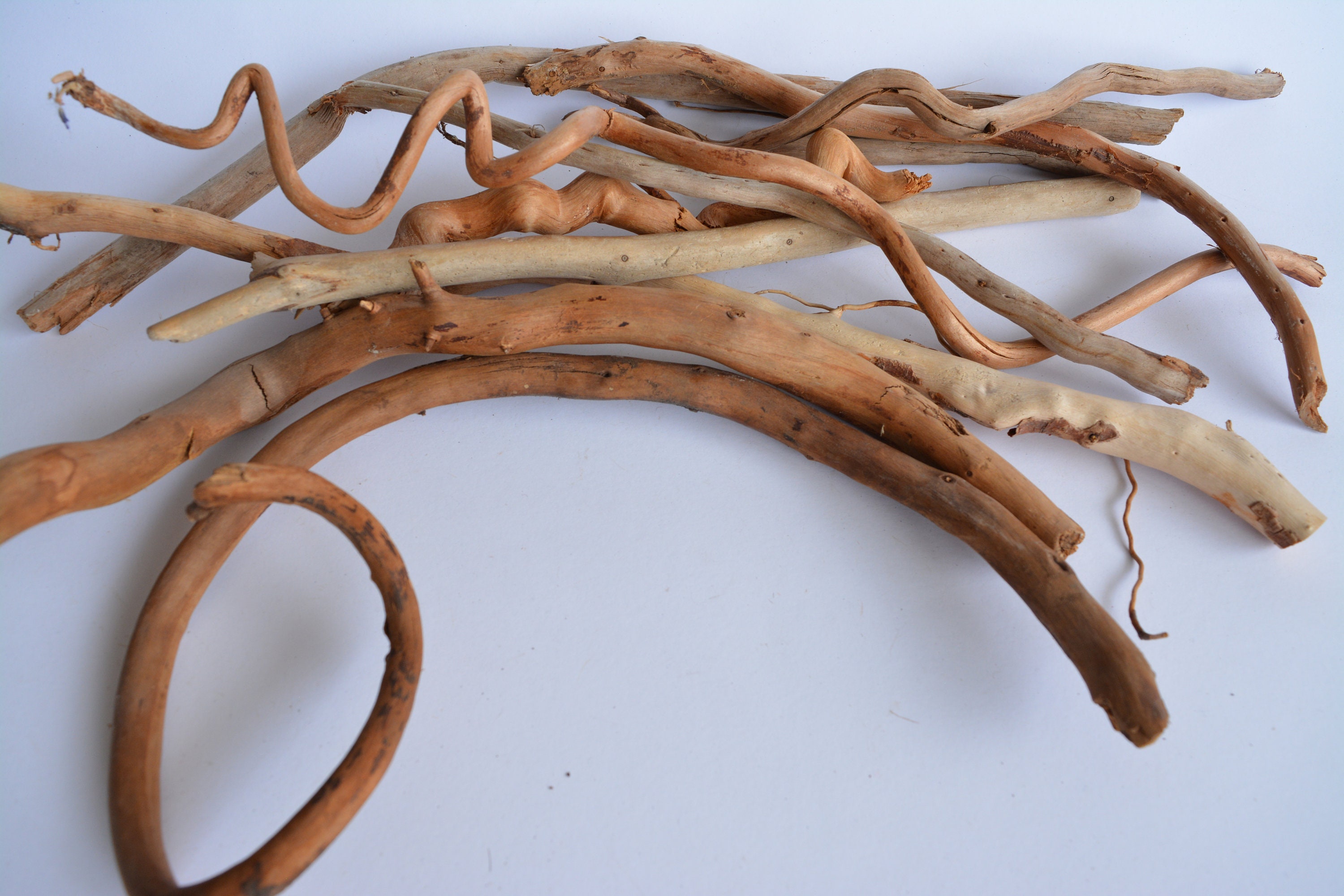 8 unique hooked pieces of Natural Dried Roots Eco forest material Old ...