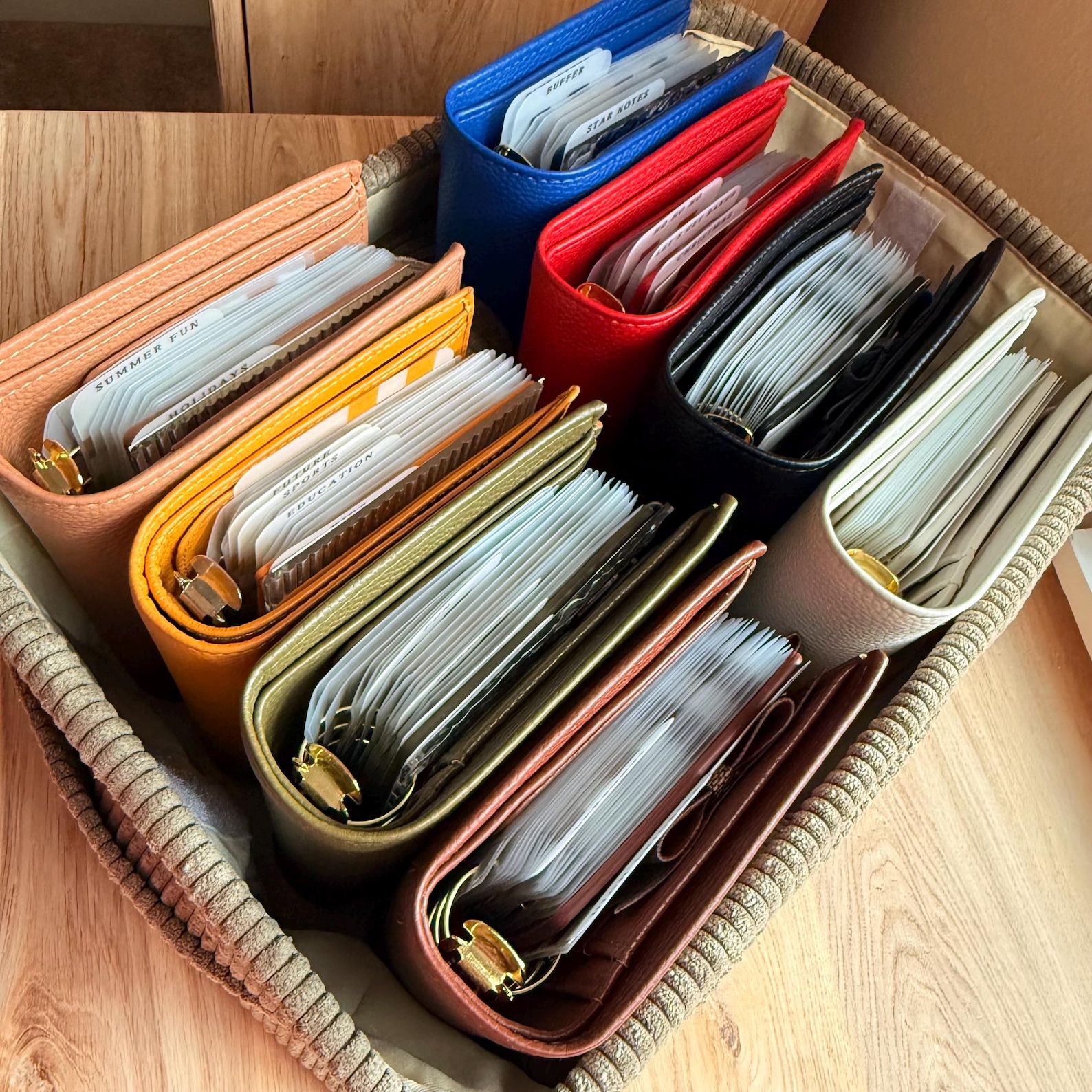 Nina Binder Caddy | Carrier for Budgeting Supplies | Cash Envelope ...