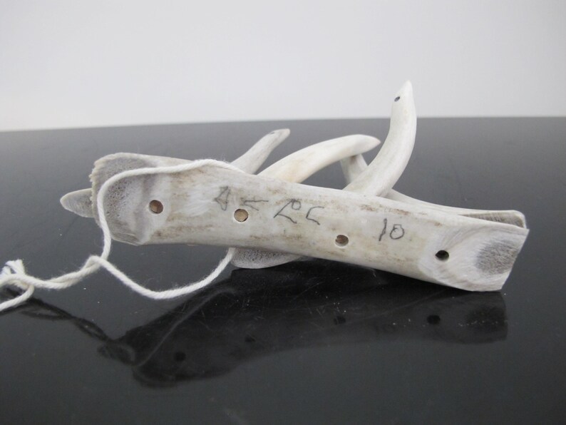 Canadian Frobisher Bay INUIT Alee Vuktuk Carved BIRDS Perched on ANTLER ...