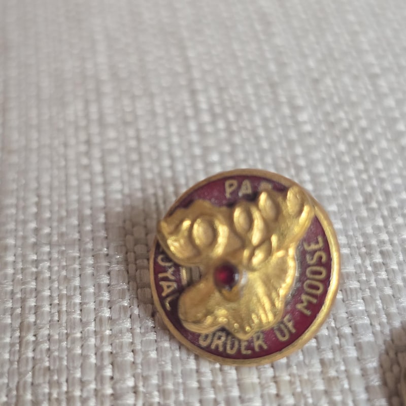 Loyal Order of Moose Pins - Etsy