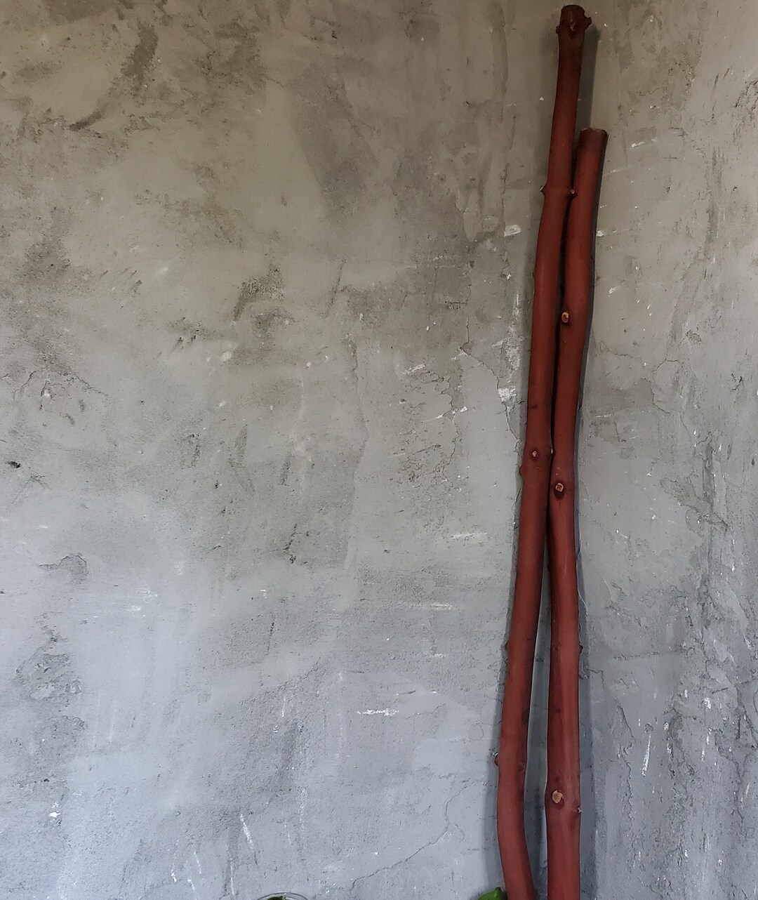 Madrone Sticks-two 43 Unaltered Natural Pieces - Etsy