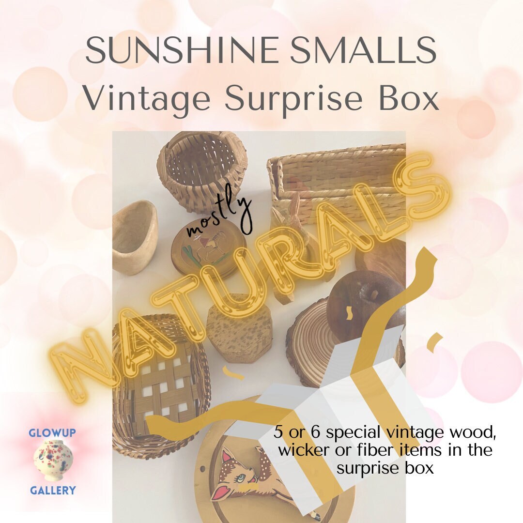 Vintage Smalls NATURALS Surprise Box - Etsy
