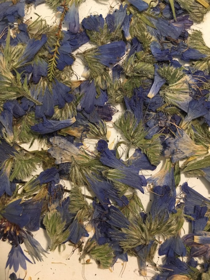 Pressed Flowers Blue Dried Flowers Craft Supply for Resin - Etsy