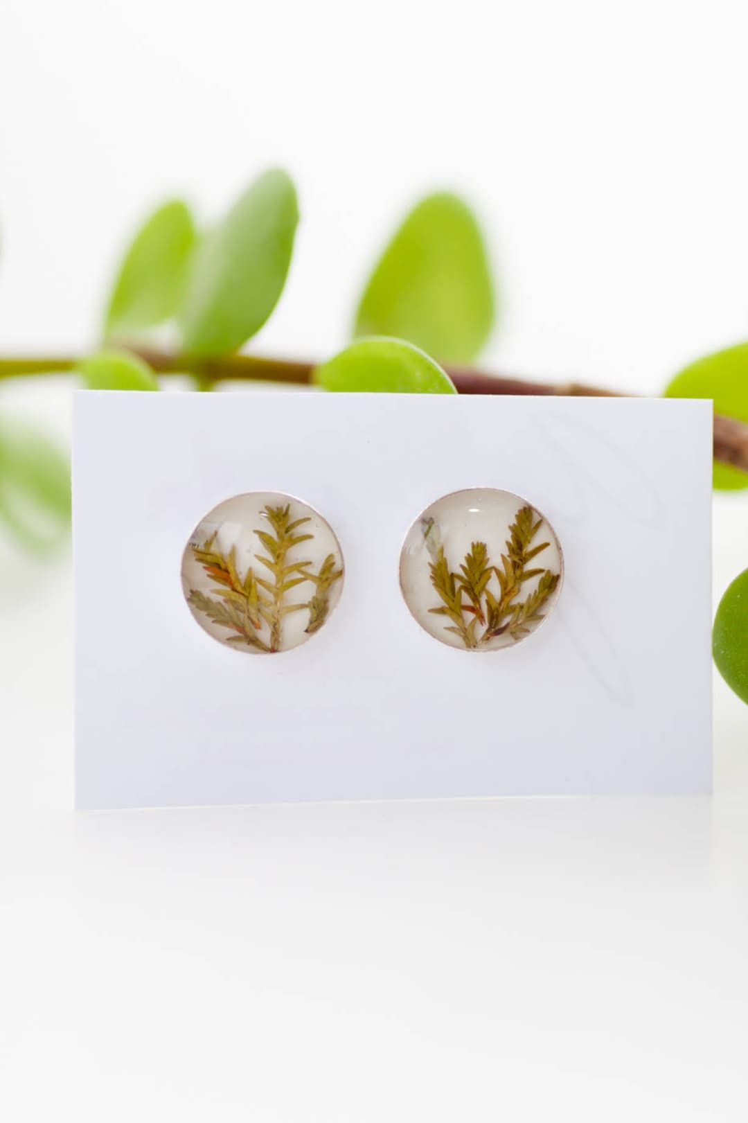 Forest Moss Earrings, Green Terrarium Lichen Studs - Etsy