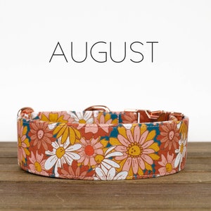 August Dog Collar - Etsy