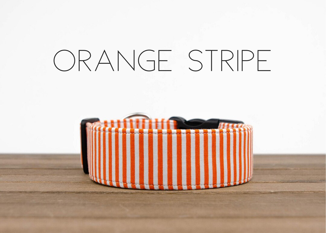 Orange Stripe Dog Collar - Etsy