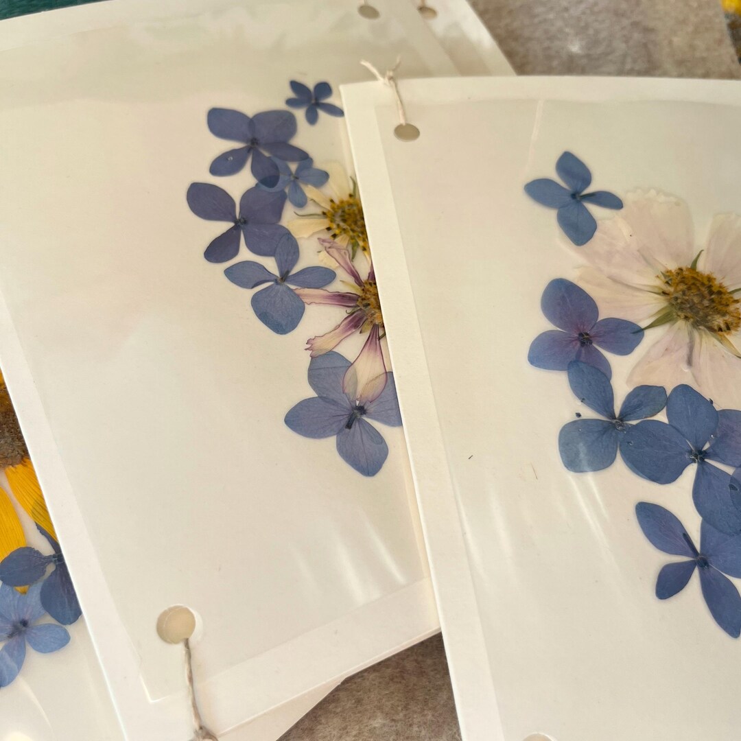 Pressed Flower Cards - Etsy