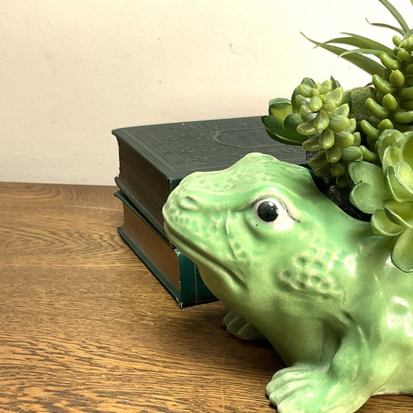 Frog Planter - Etsy