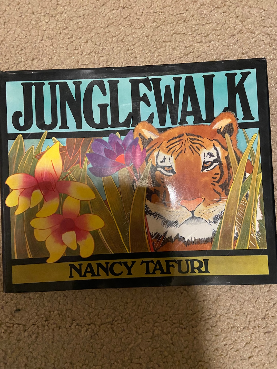 Junglewalk Nancy Tafuri 1988 First Edition - Etsy