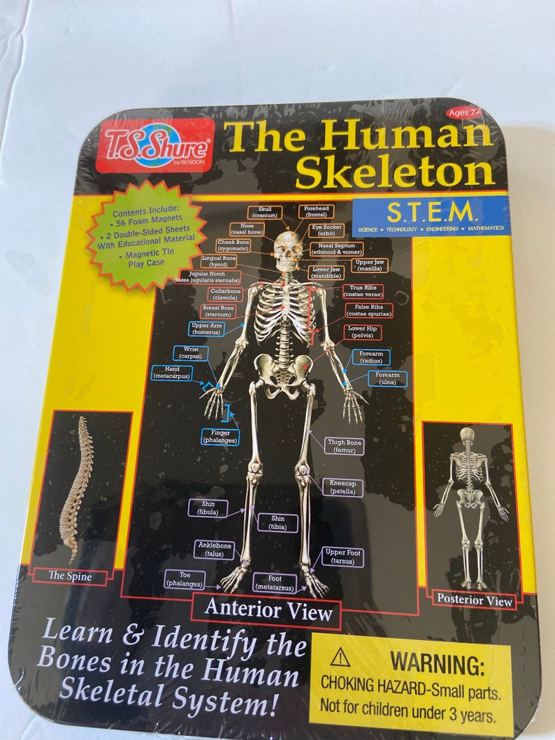 Bendon S.T.E.M. Magnetic Learning Activity butterflies of the World ...