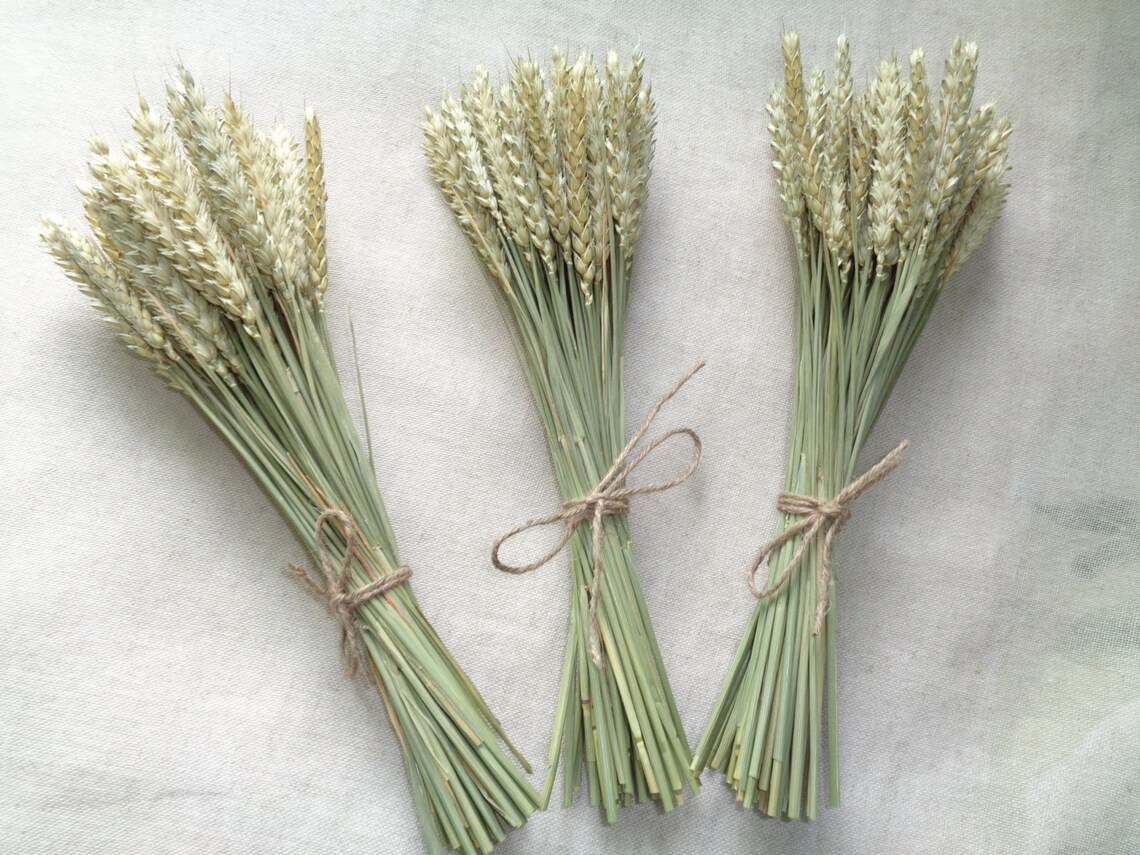 Small Wheat Bunch Rustic Bouquet Natural Home Decor Florist - Etsy