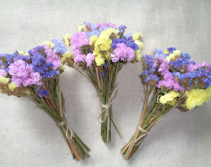 Small Statice Limonium Three Mini Dry Flowers Bouquets for Flower Girls ...