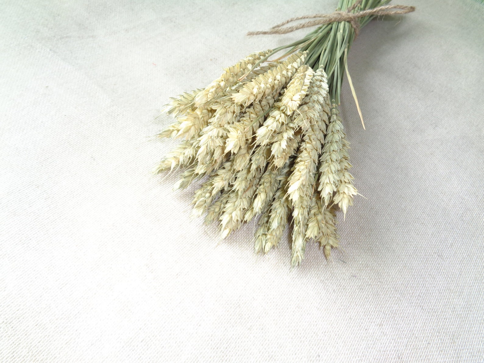 Small Wheat Bunch Rustic Bouquet Natural Home Decor Florist - Etsy