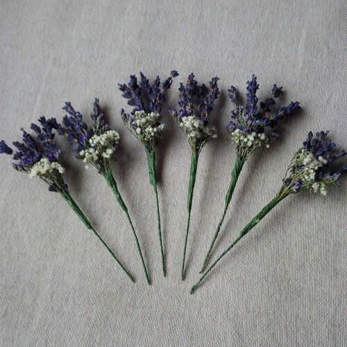 Blue Lavender Pins With White Gip Dried Wired Flowers Set of 6 - Etsy