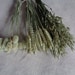 Rustic Trio Dried Wheat and Grass Bouquet for Home Decor Summer Garden ...