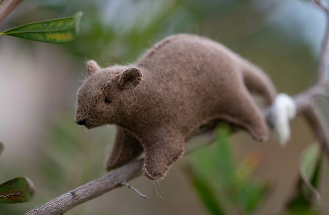 Felt Australian Ringtailed Possum Sewing Pattern PDF - Handmade Felt ...