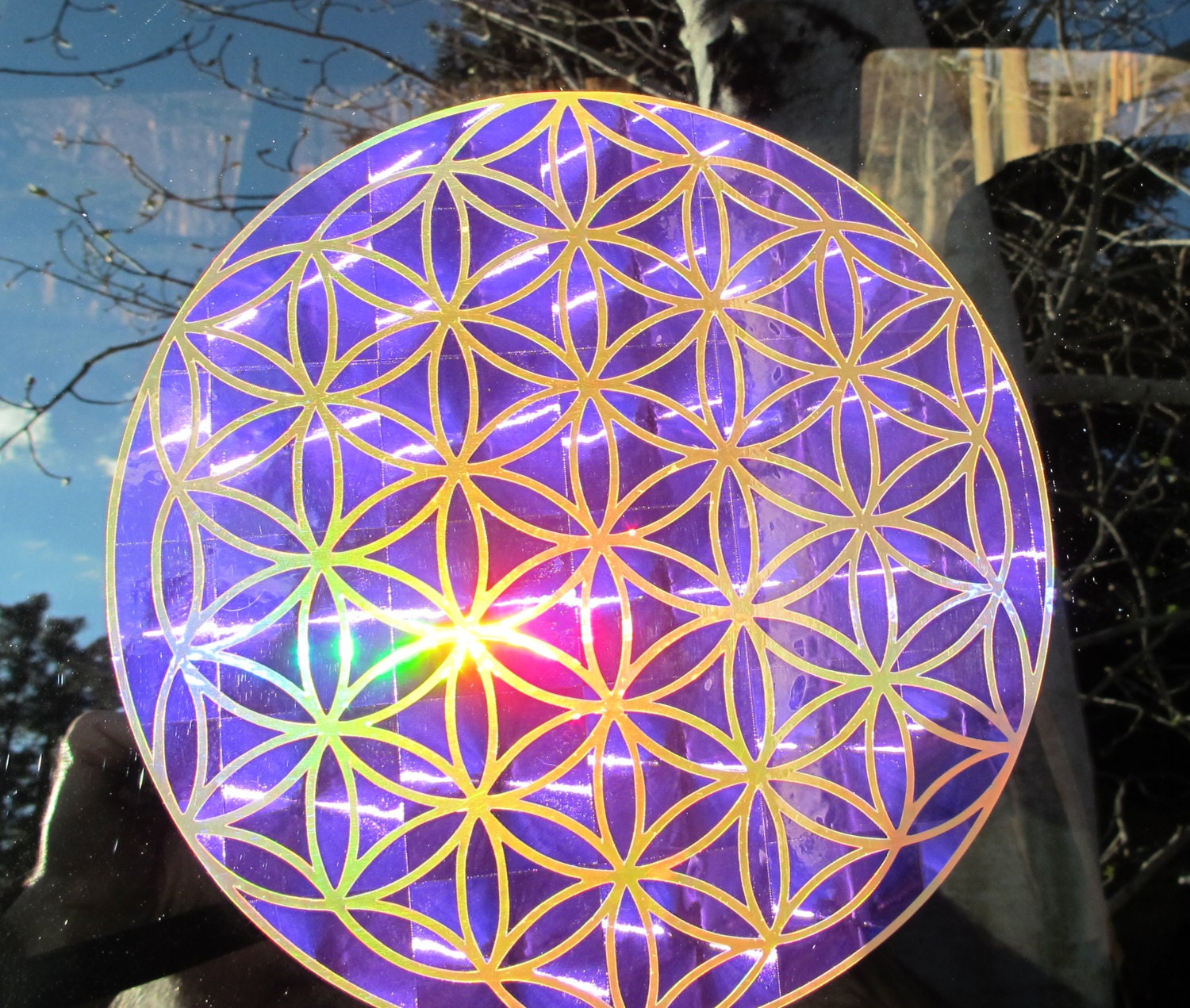 Flower of Life Sticker. Merlin Edition. Medium Size 7.75 - Etsy