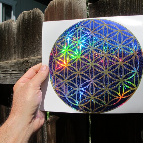 Flower of Life Sticker. Merlin Edition. Medium Size 7.75 - Etsy