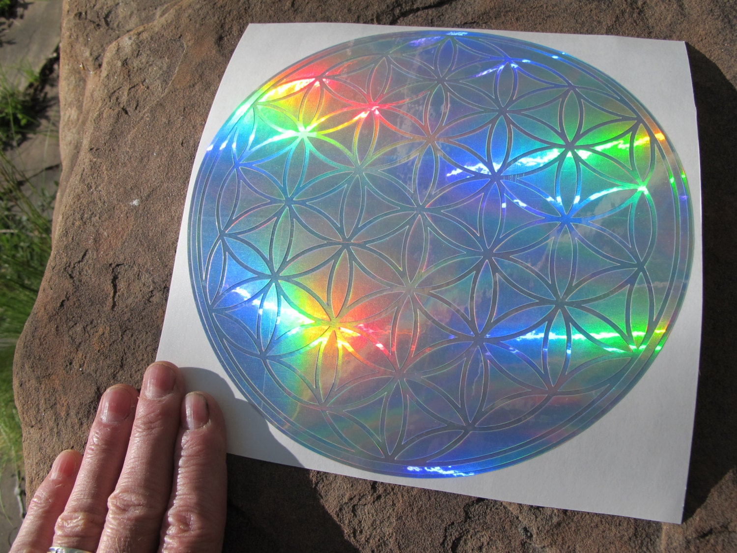 Spirit Flower. Sacred Flower of Life. Special Edition- 7.75" Sticker ...