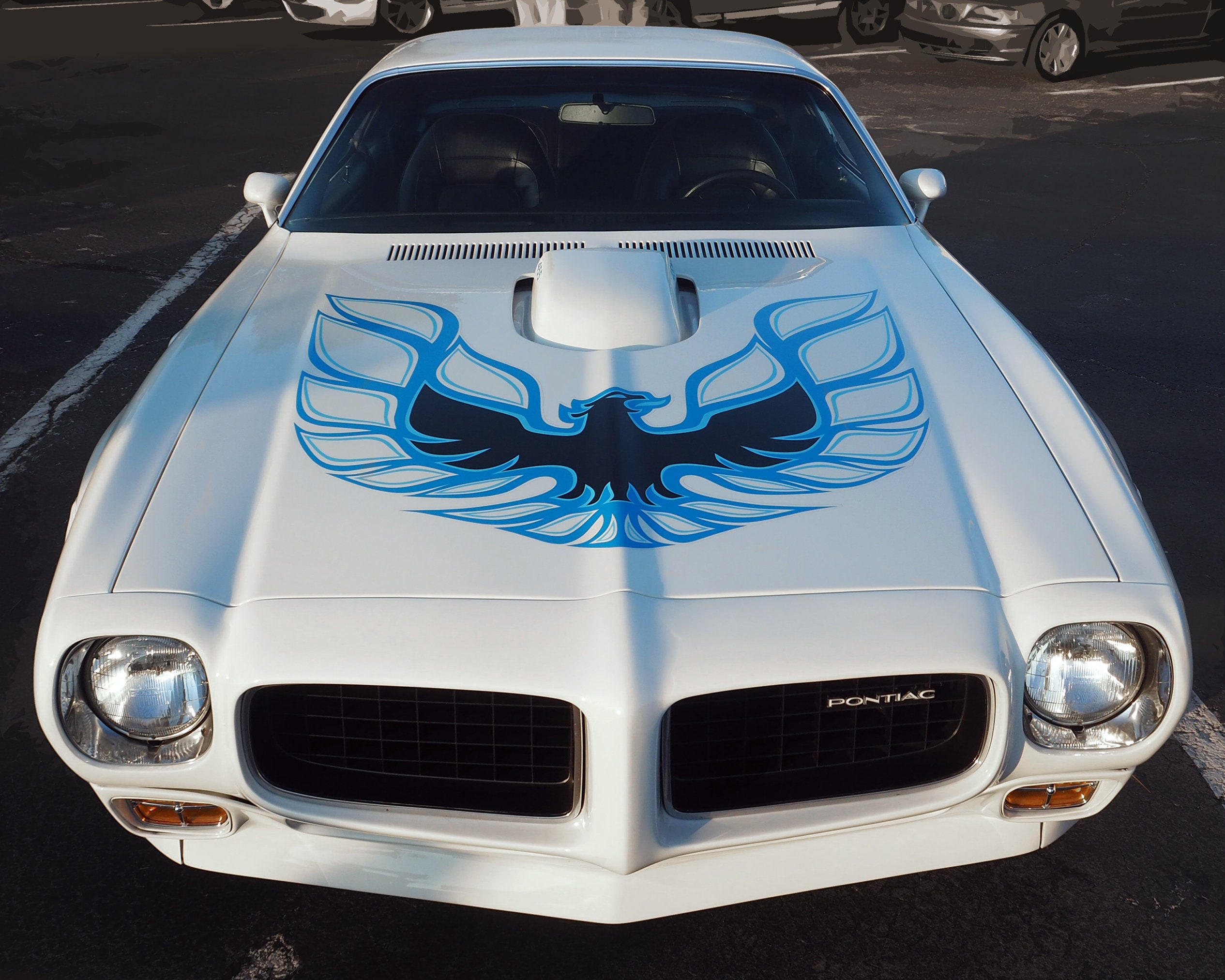 1973 Pontiac Firebird Trans Am