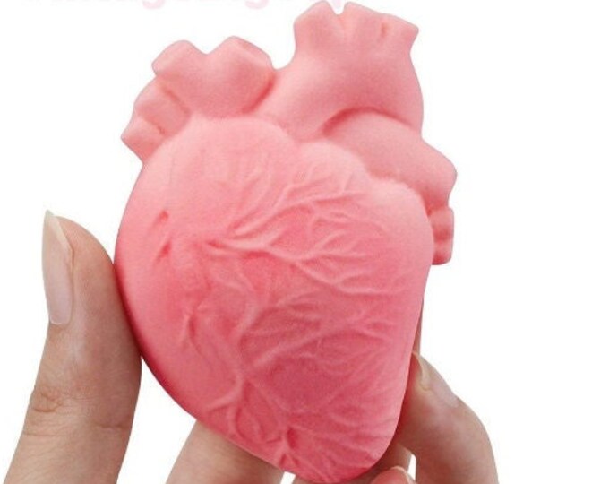 REALISTIC HEART MOLD Veiny Shaped Mini Real Looking Human Anatomy ...