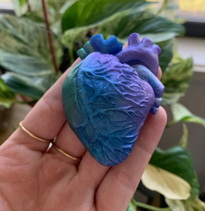 REALISTIC HEART MOLD Veiny Shaped Mini Real Looking Human | Etsy