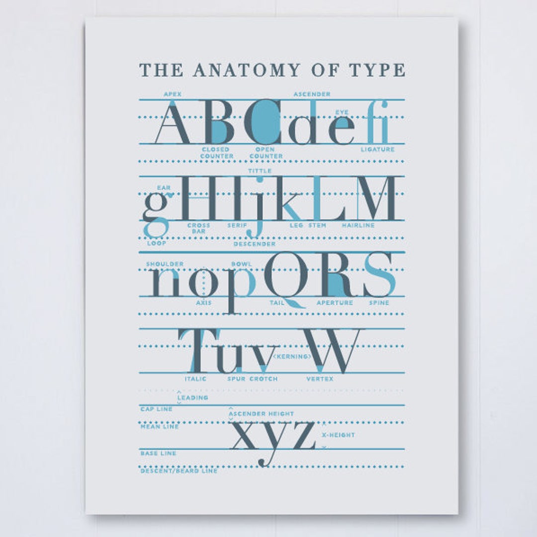 Anatomy of Type Large Print - Etsy