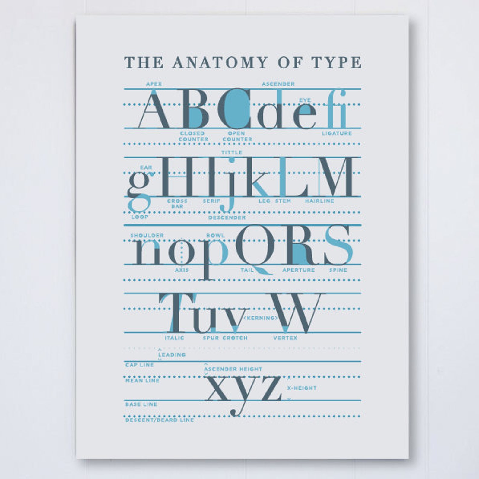 Anatomy of Type Large Print - Etsy