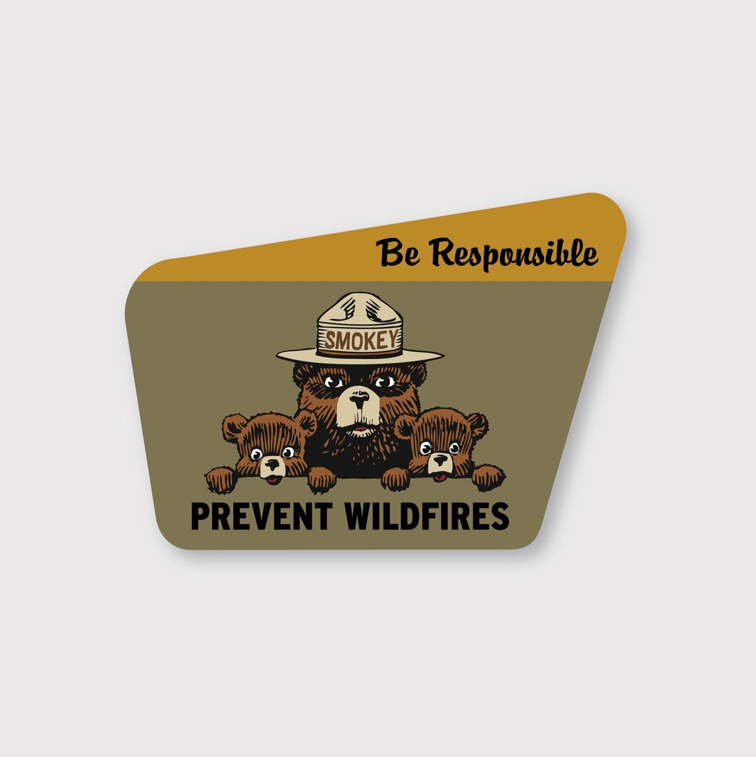 Smokey Bear Be Responsible Sticker - Etsy