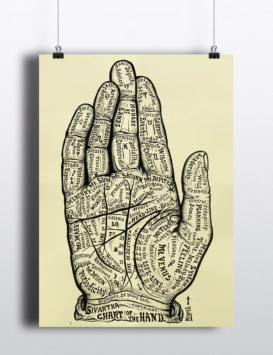 Antique Print, Hand, Life Lines, Wall Art, Wall Decor, Book of Life ...