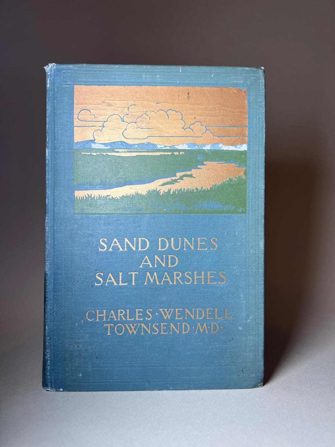 1913 RARE Antique Book Sand Dunes and Salt Marshes Lighthouse Seashells ...