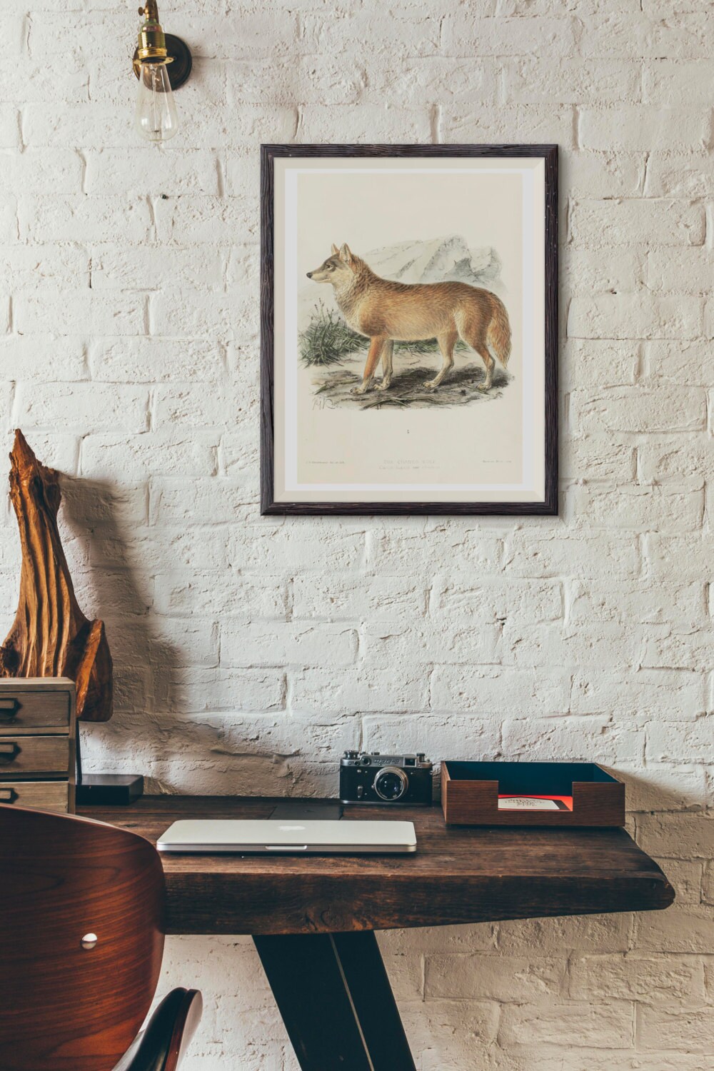 Antique Wolf Print Art Prints Poster 1800s Wolf Art Wolf Painting ...