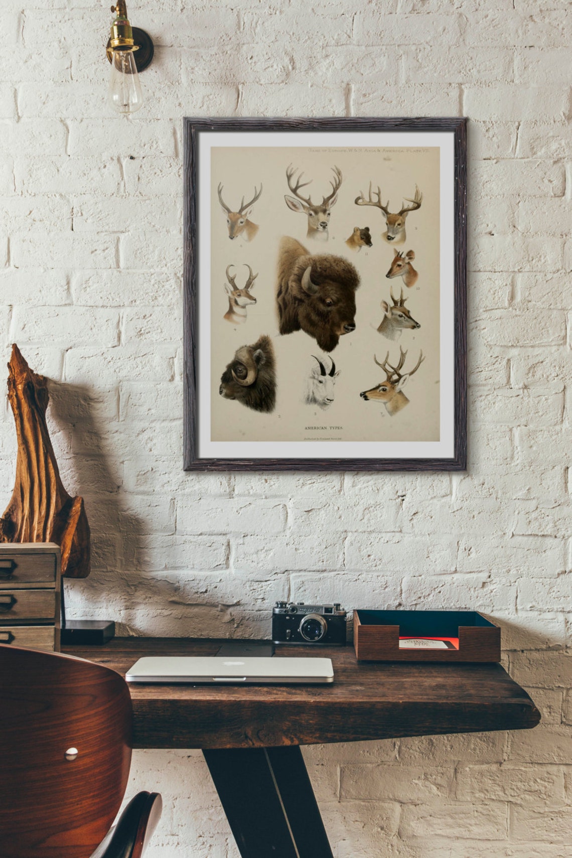 Antique 1800s Animal Poster Deer Bison Poster Buffalo Elk - Etsy