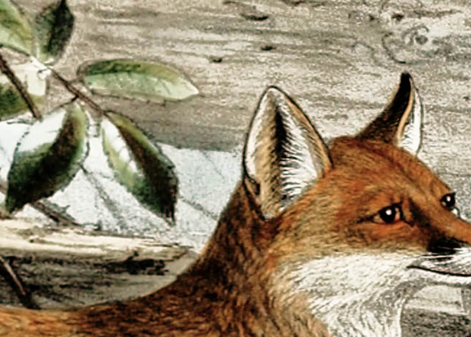 Antique Fox Art Print Animal Print Antique Animal Print Fox | Etsy