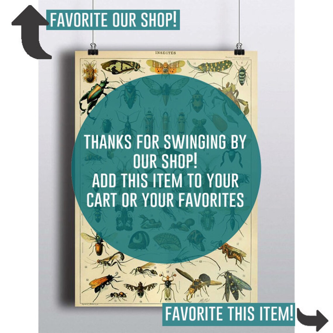 Antique Insects Science Chart Natural Science Bugs Wall Decor Wall Art ...