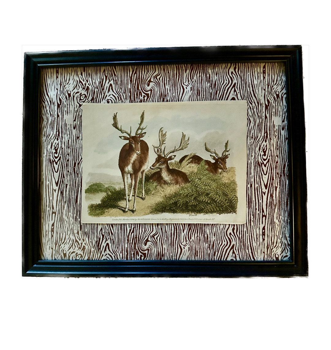 Framed Antique English Engraving Deer Herd or Stag Herd, Hand Colored ...